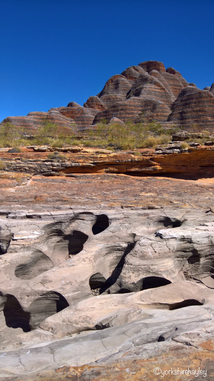 piccaninny-4 — yorkshirehayley.com